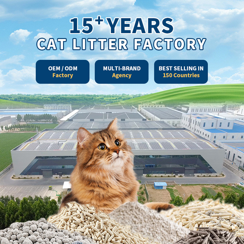 YousnPet - Premium Bentonite & Tofu Cat Litter Factory | Eco-Friendly ...